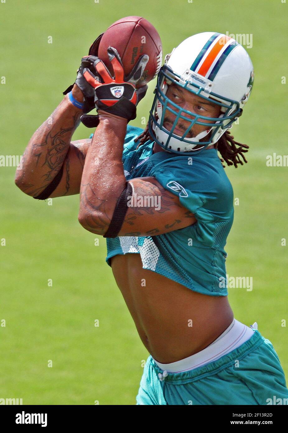 Miami Dolphins linebacker Channing Crowder catches a pass during drills ...