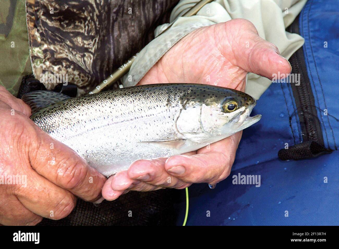 Len Anderson of Cloquet, Minn., holds a rainbow trout he caught while ...