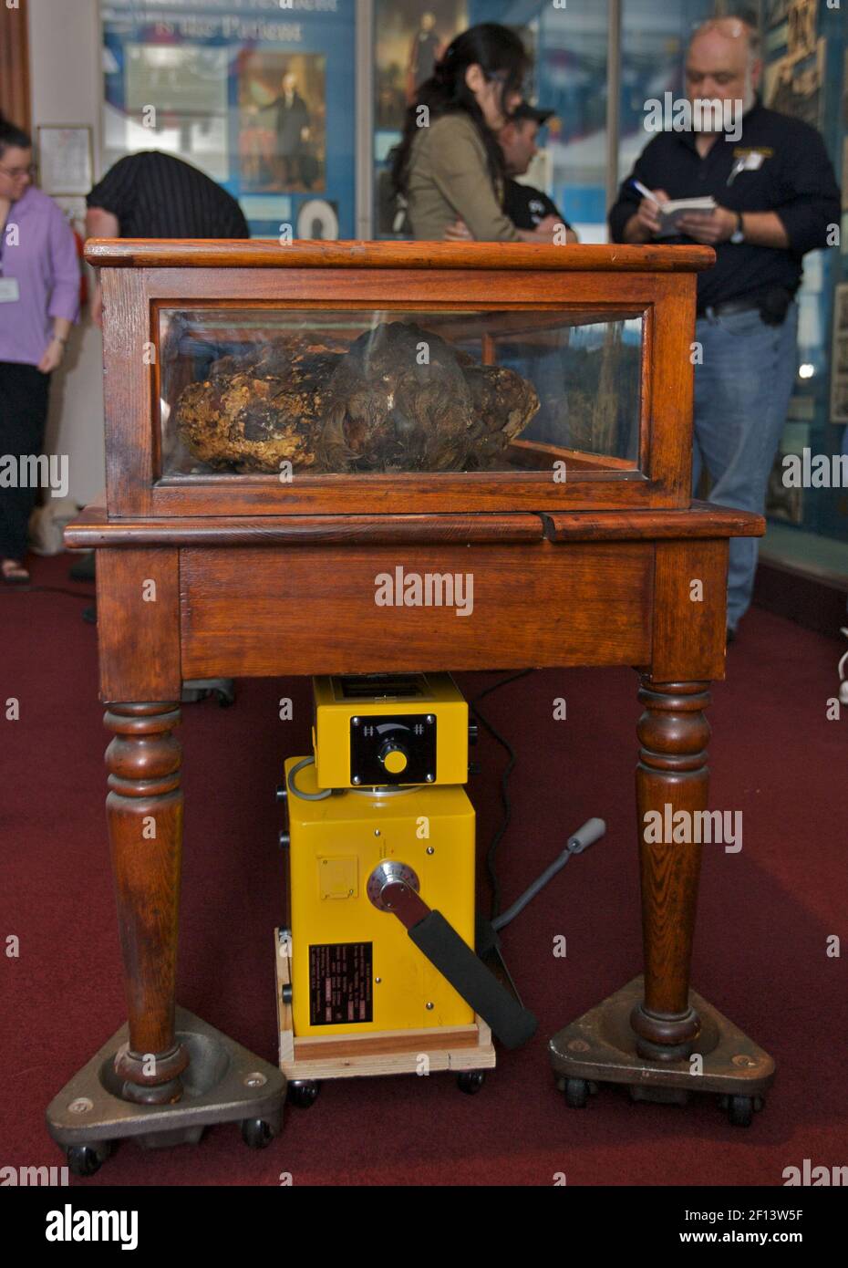 Mutter museum philadelphia hi-res stock photography and images - Alamy