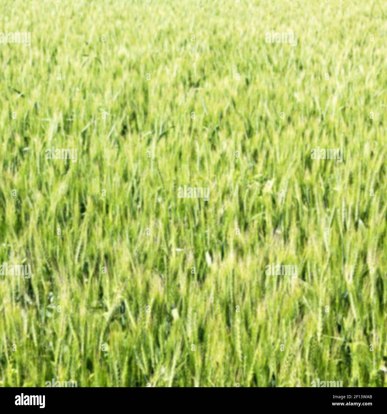 Dry farming iran hi-res stock photography and images - Alamy