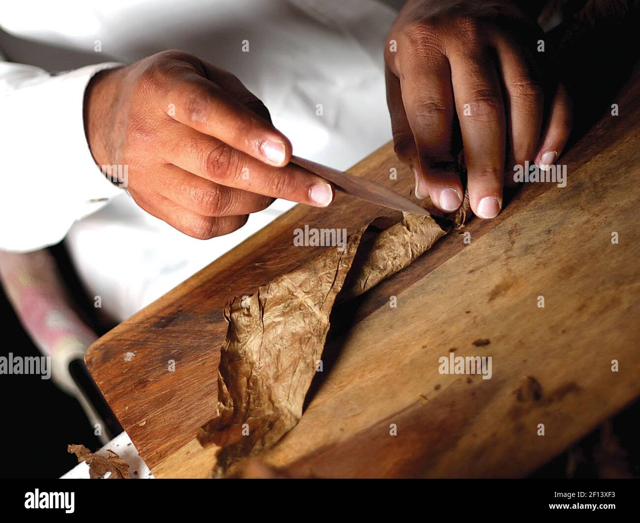Master cigar roller Adonis Arteaga, of Miami and Cuba, cuts a cigar he ...