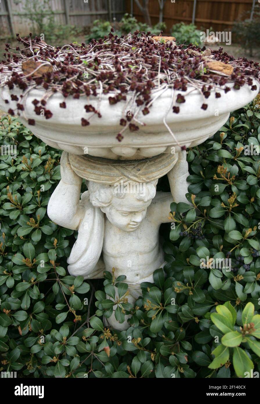 A statued planter is placed among shrubs in Ellie Bomar's garden at her ...