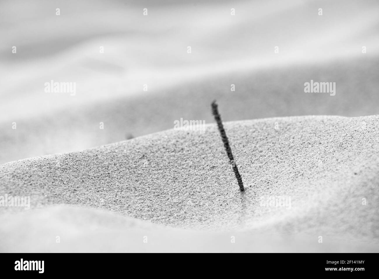 Small sandy beach Black and White Stock Photos & Images - Alamy