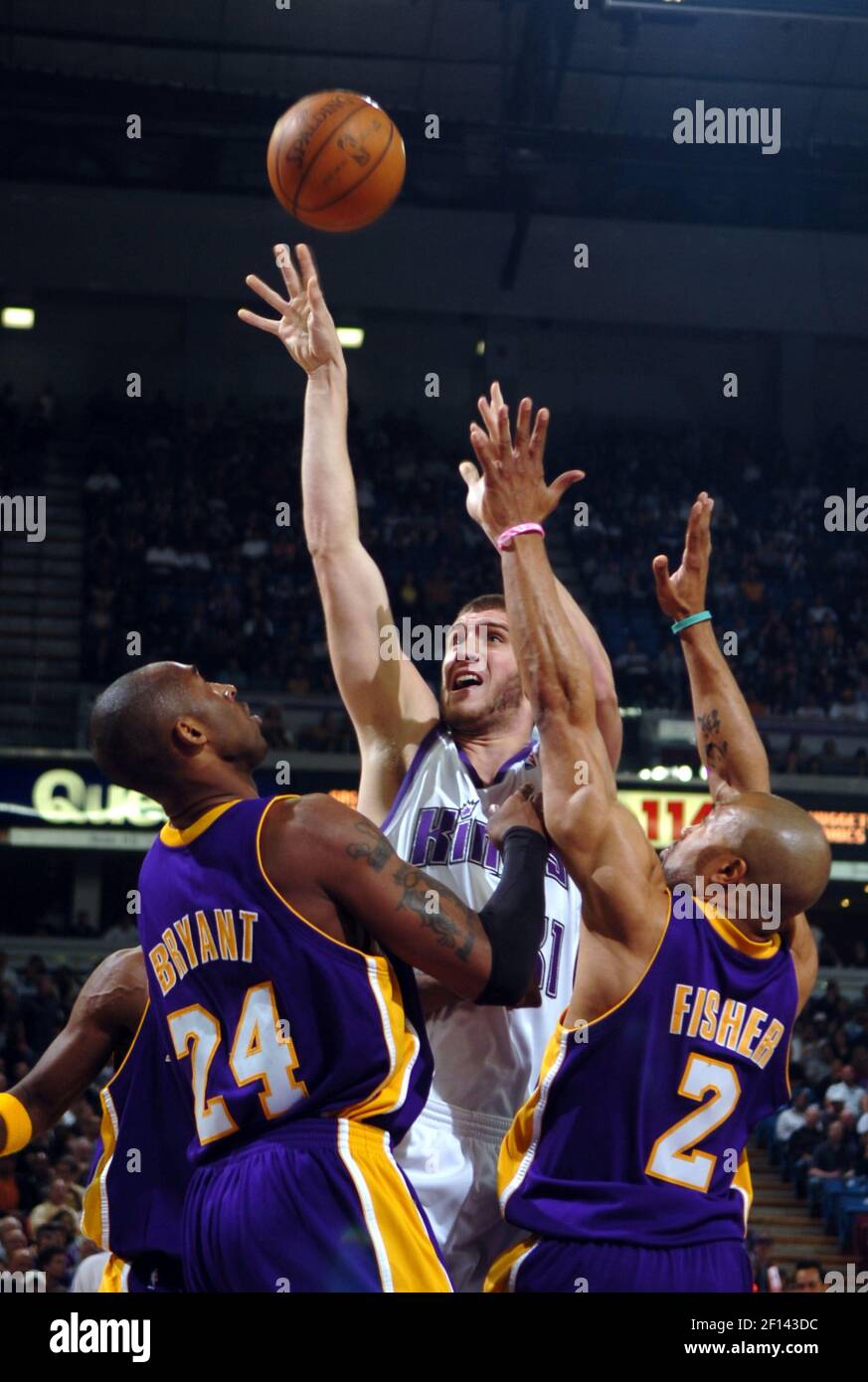 Kobe bee hi-res stock photography and images - Alamy