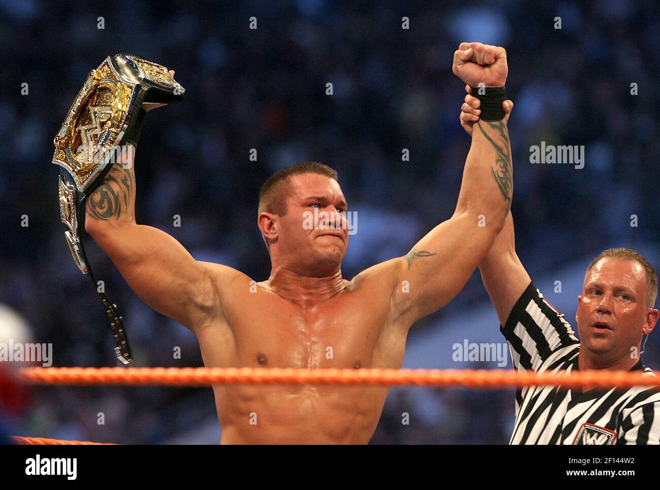 Citrus Bowl Wrestlemania 24
