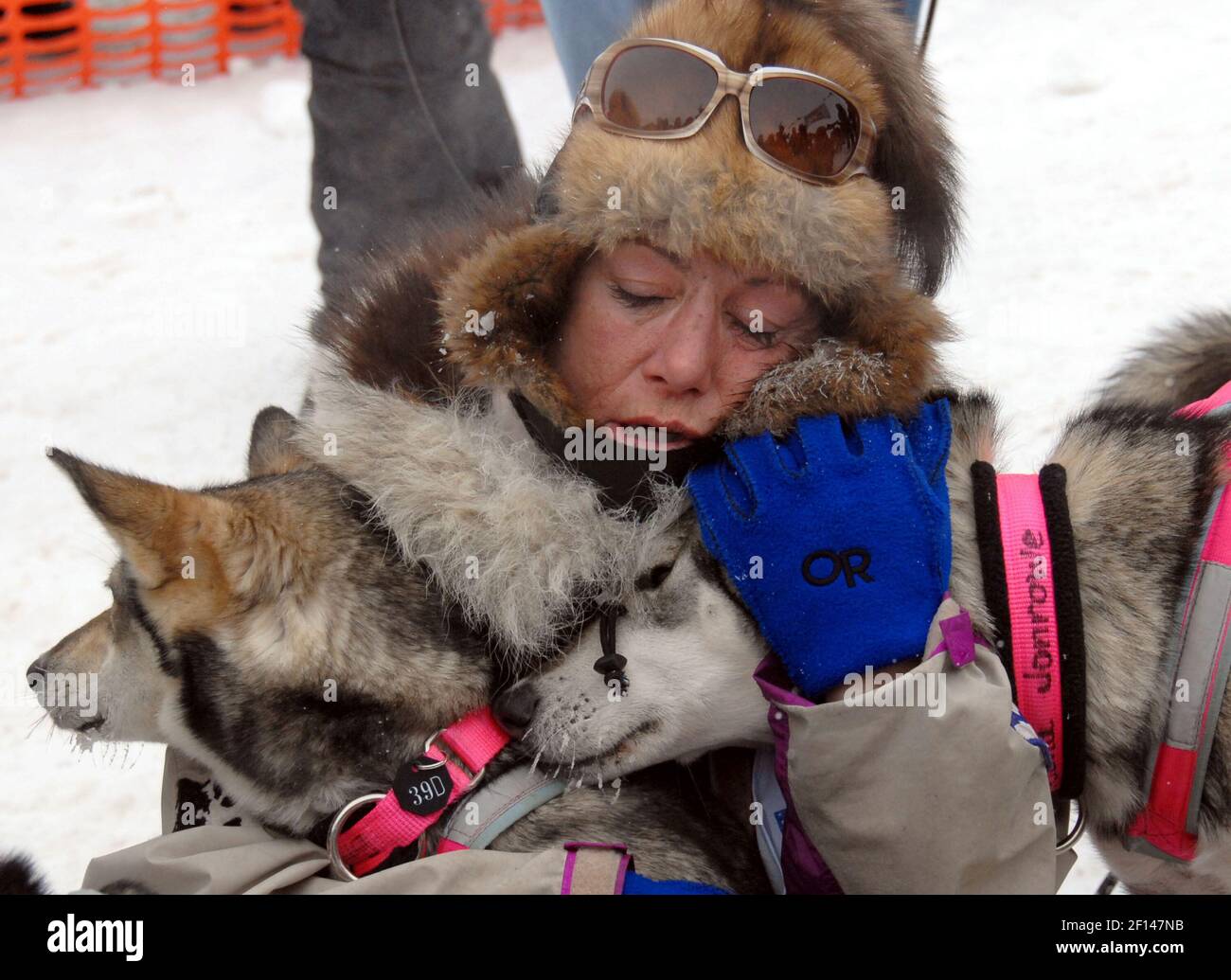 Iditarod musher DeeDee Jonrowe hugs her dogs in the chute after ...