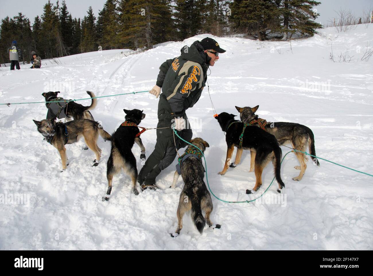 Iditarod sled dog musher Jeff King pulls his team back, after the snow ...