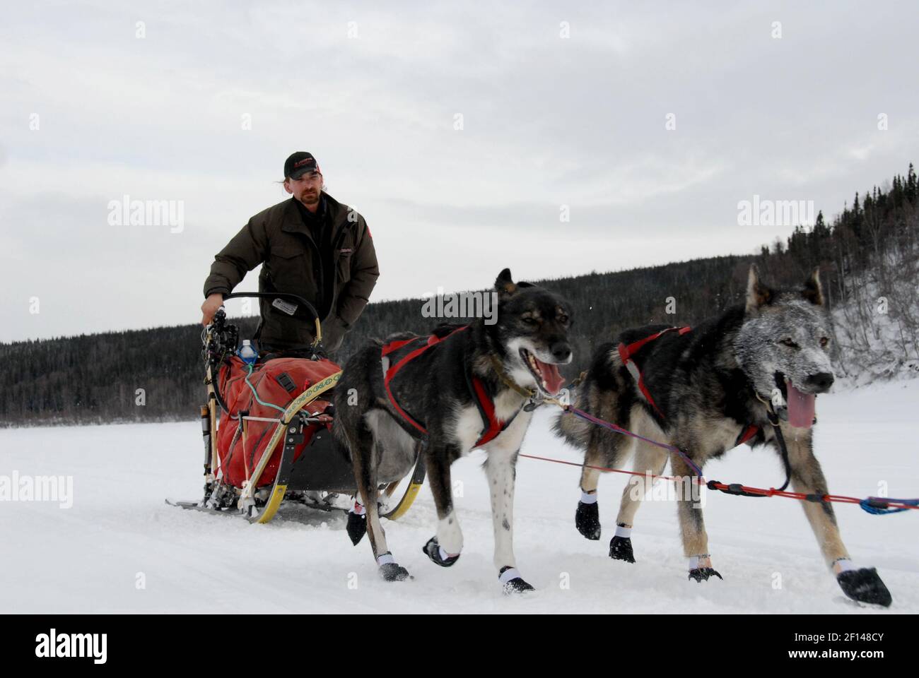 Iditarod Trail sled dog musher Lance Mackey leaves the Ruby checkpoint ...