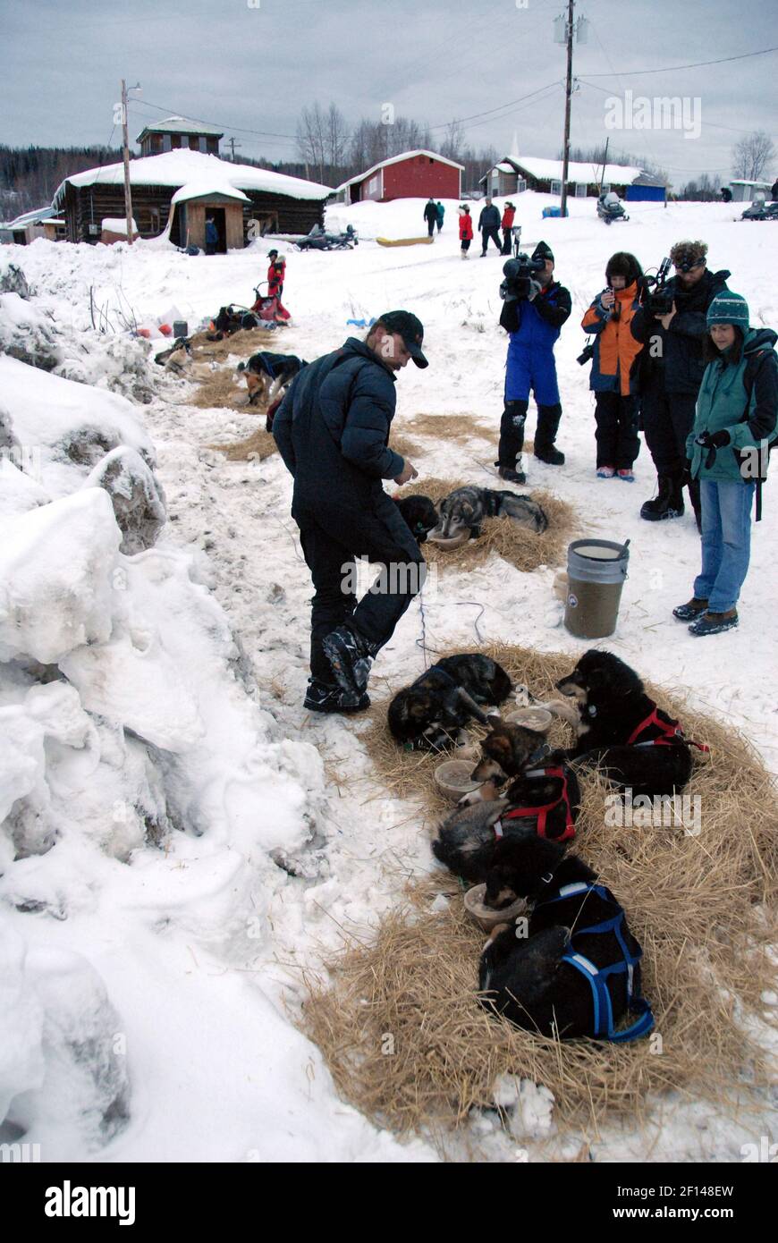 Iditarod Trail sled dog musher Lance Mackey feeds his team at the Ruby ...