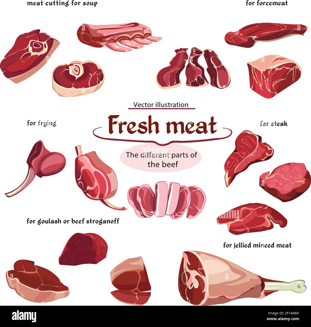 Sketch cutting beef meat parts collection for different dishes and ...