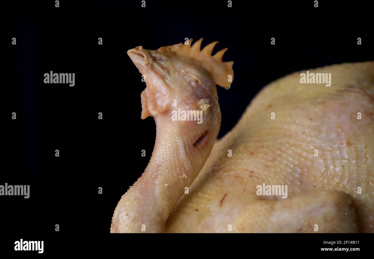 Roasted chicken, head included, Hanoi, Vietnam Stock Photo - Alamy