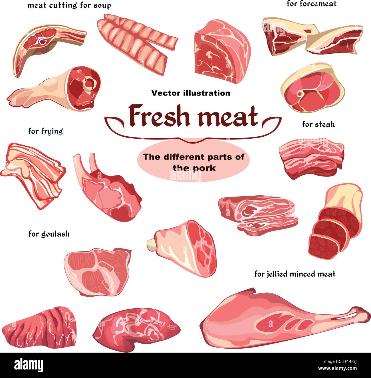 Natural cutting pork meat parts set for various dishes and meals ...