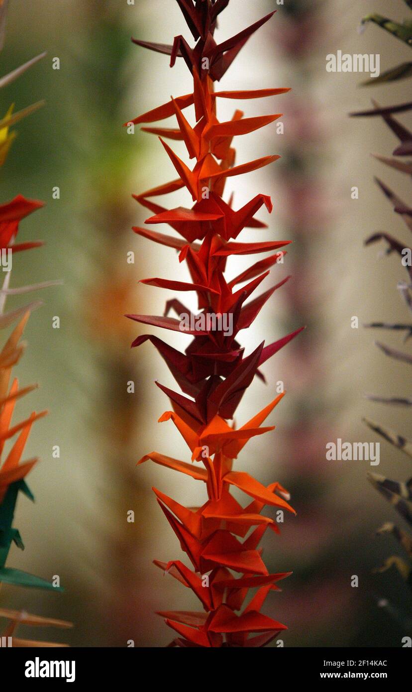 A strand of paper cranes shows the colors of Virginia Tech on a ...