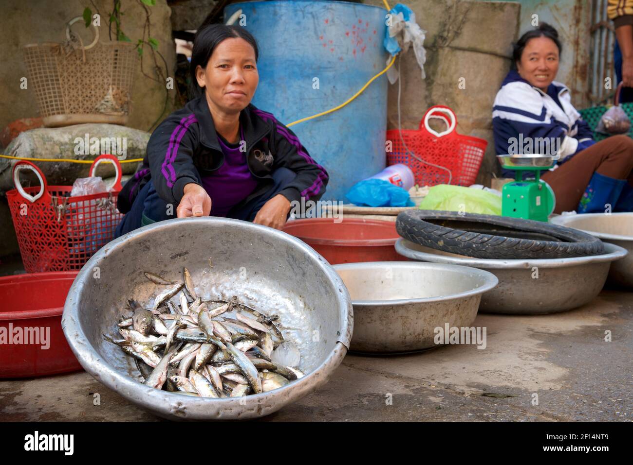 Street market. Vietnamese women selling fresh fish in the street. Thanh ...