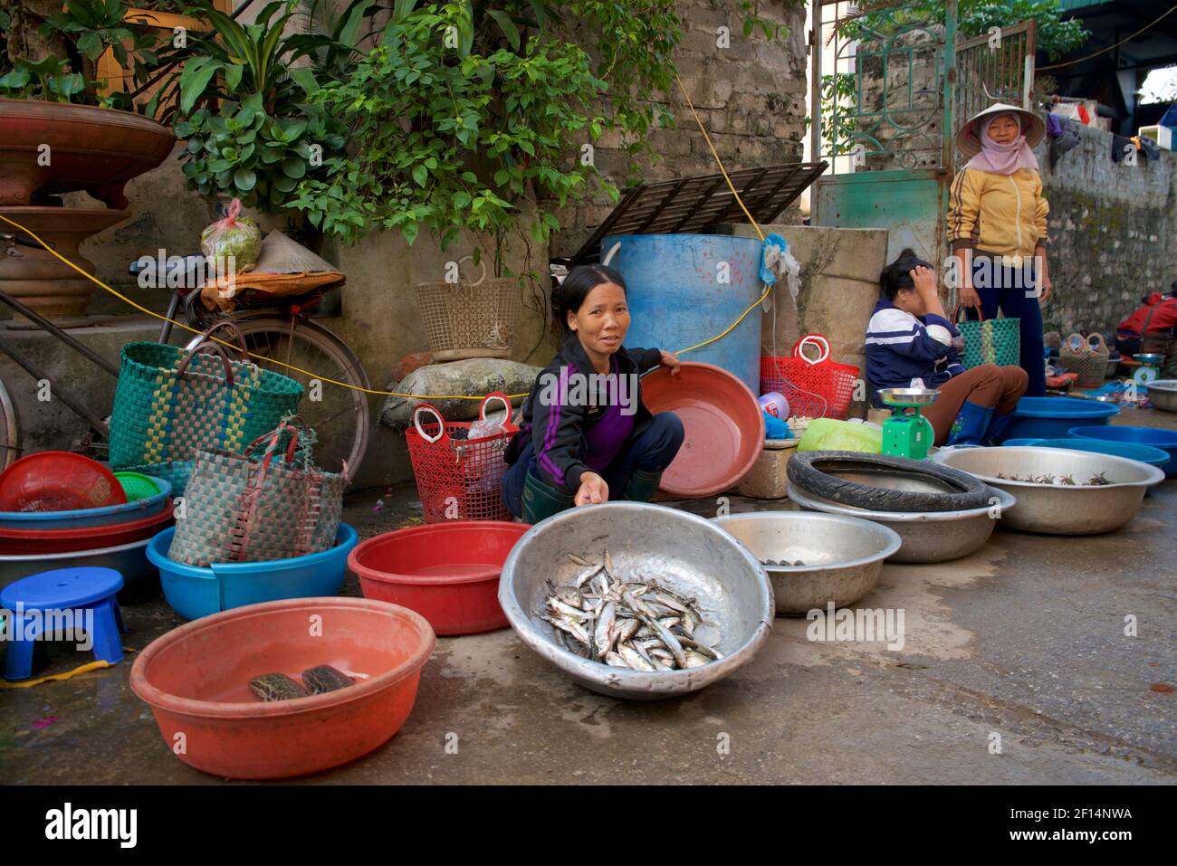 Trading fish hi-res stock photography and images - Alamy