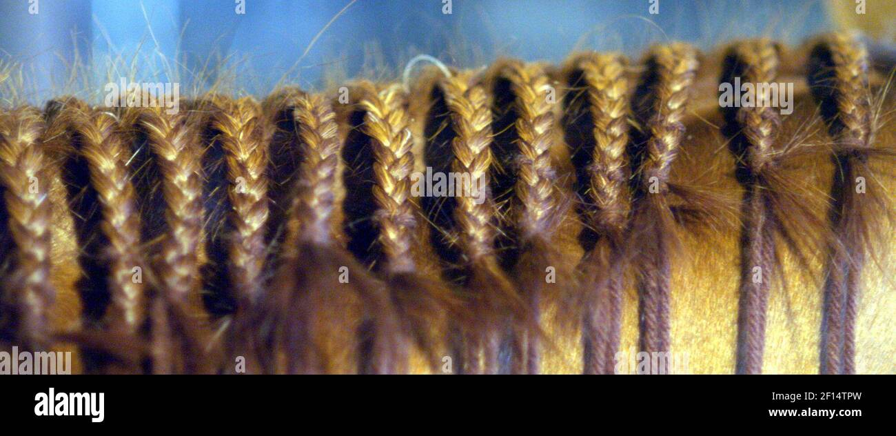 A detailed view of a horse's mane that is being braided by Barb Gillis ...
