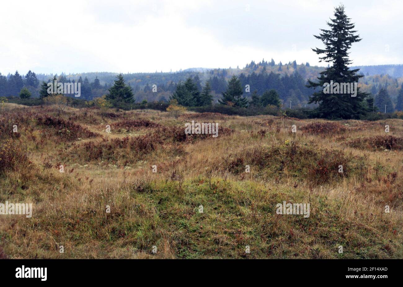 It's easy to see the mounded character of the prairie landscape at the ...