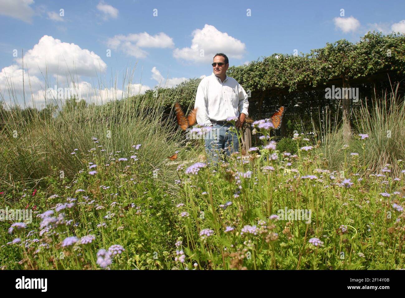 Senior botanist Damon Waitt looks over the native plants at the Lady ...