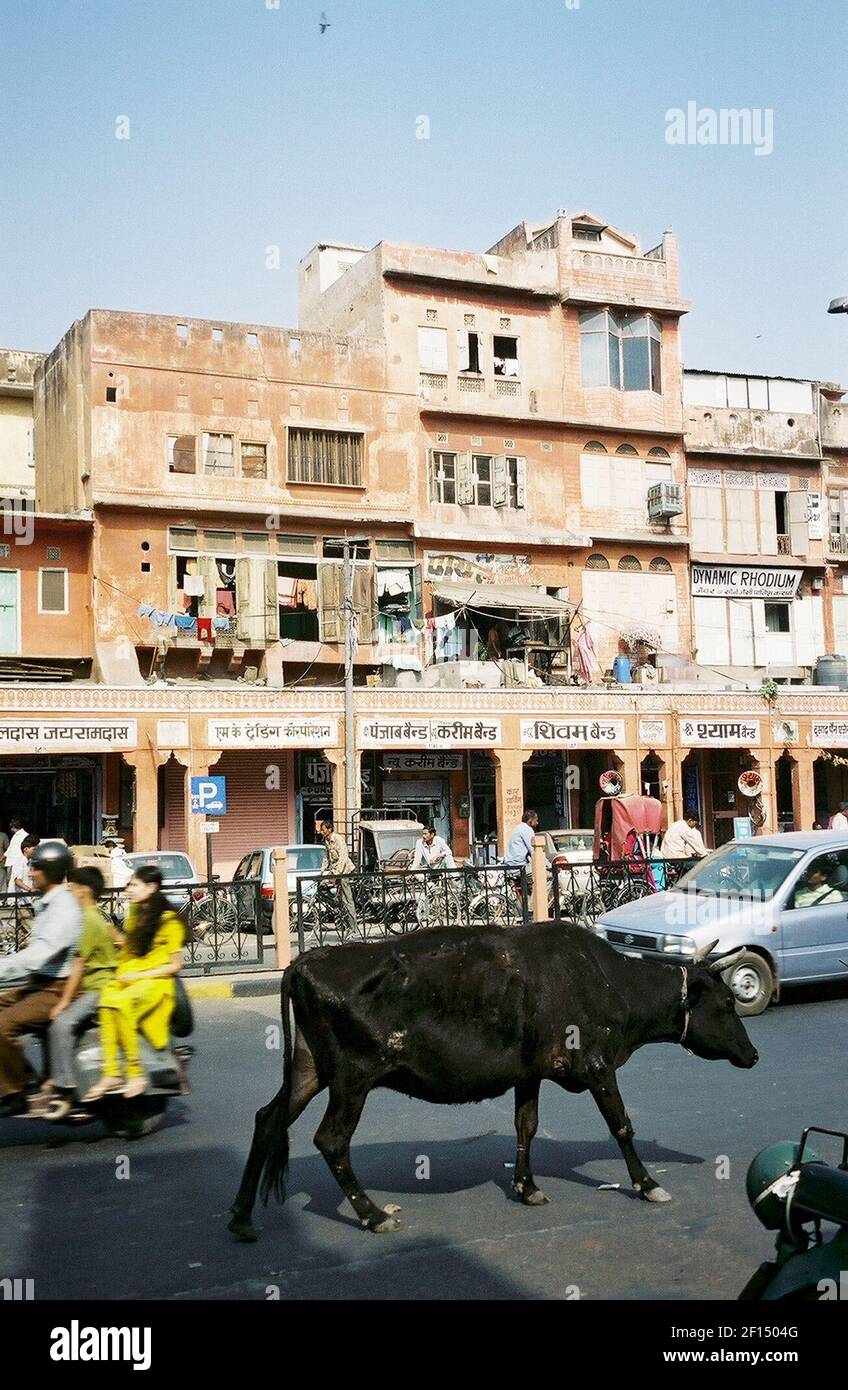 In honor of Prince Albert's visit in 1853, Jaipur was painted pink and ...
