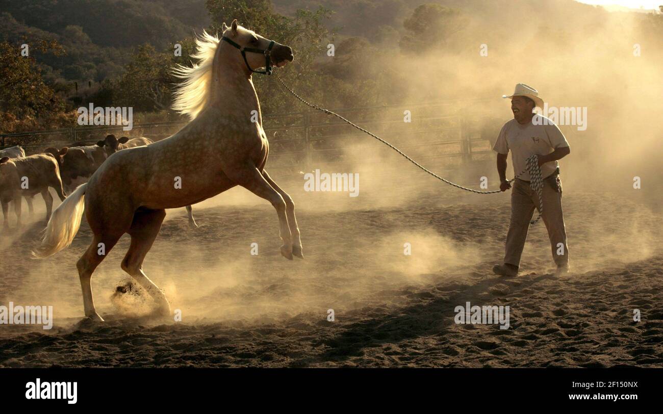 LIVING A DREAM: Alonso Rodriguez lives his dream, walking out his young ...