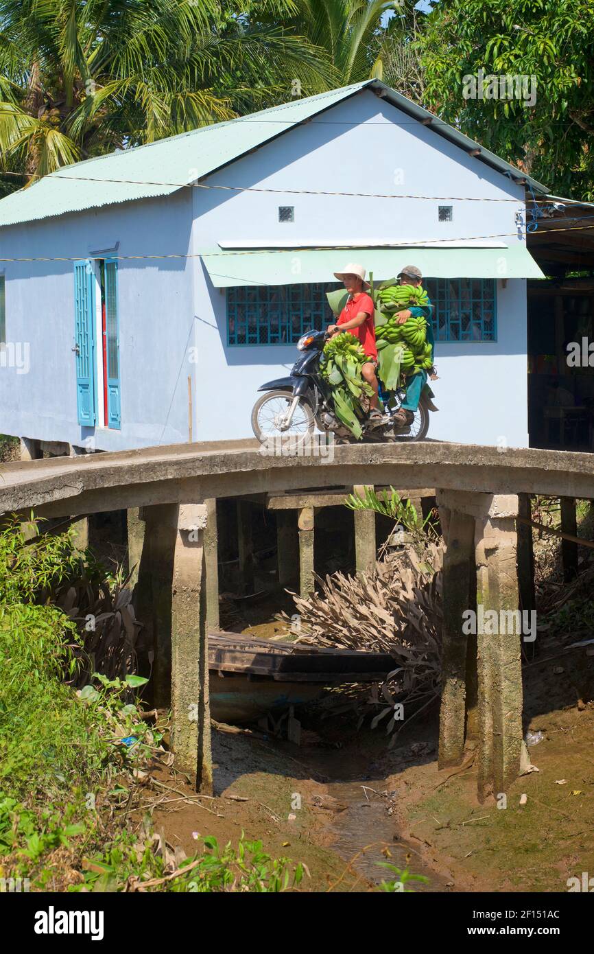 Men on a motorocycle crossing a bridge carrying bananas. Tân Phong ...