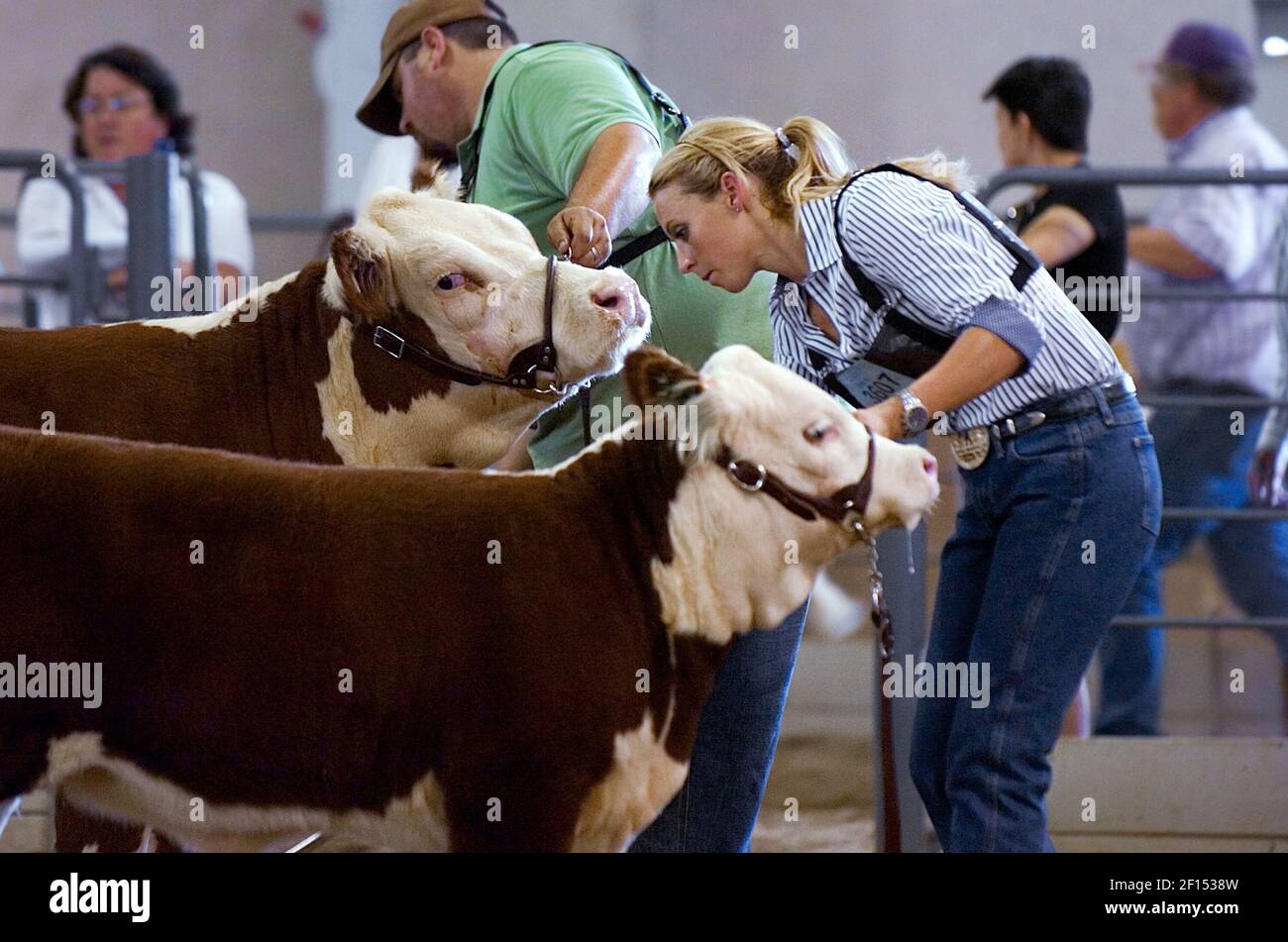Mercedes Danekas (center) works in the ring showing a miniature ...