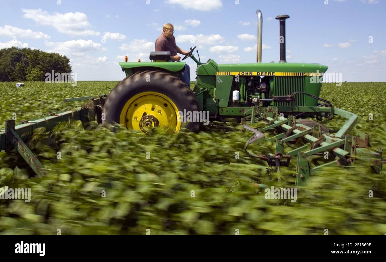 Harold Wilken cultivates an organic bean field outside of Danforth ...