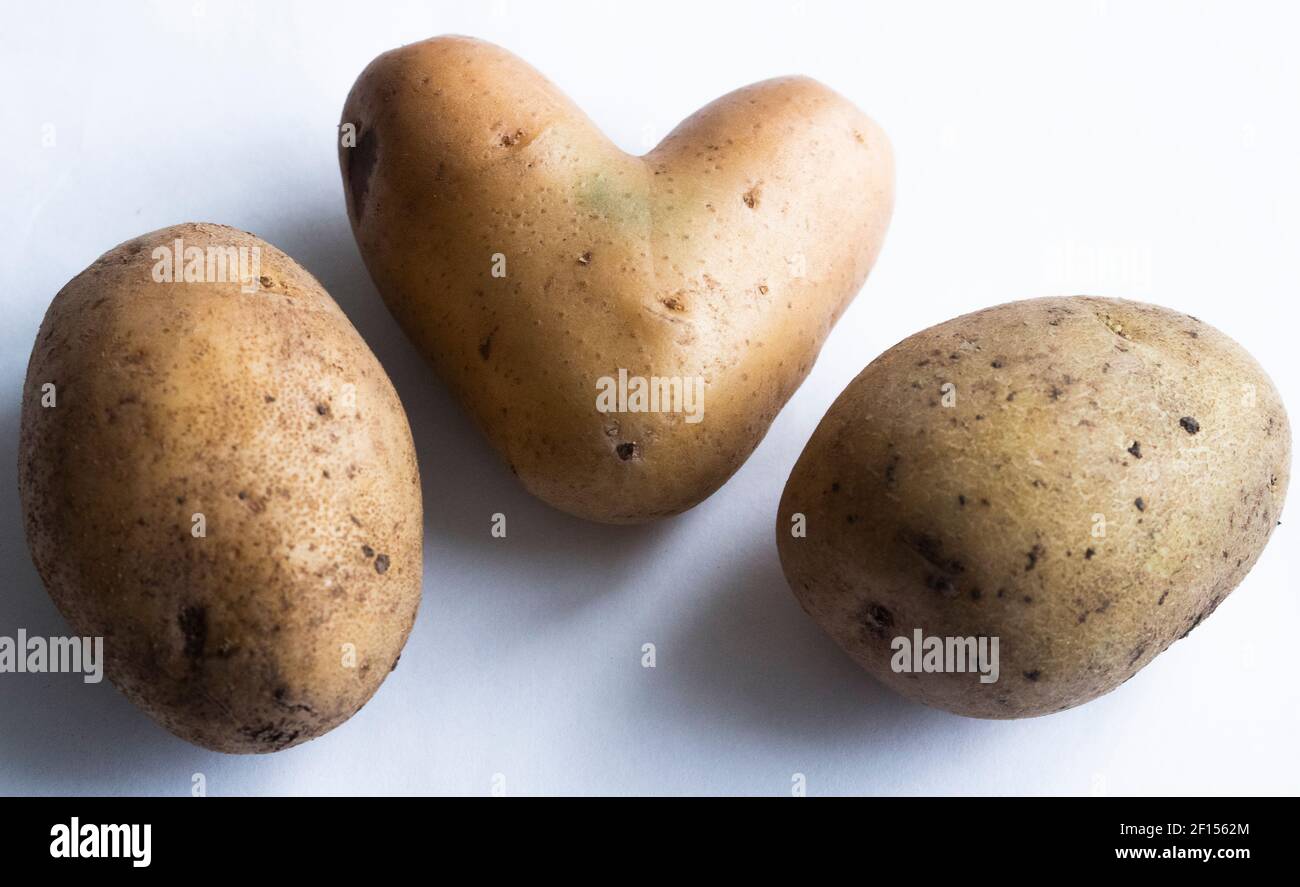 heart-shaped potatoes. wood texture. background old panels Stock Photo ...
