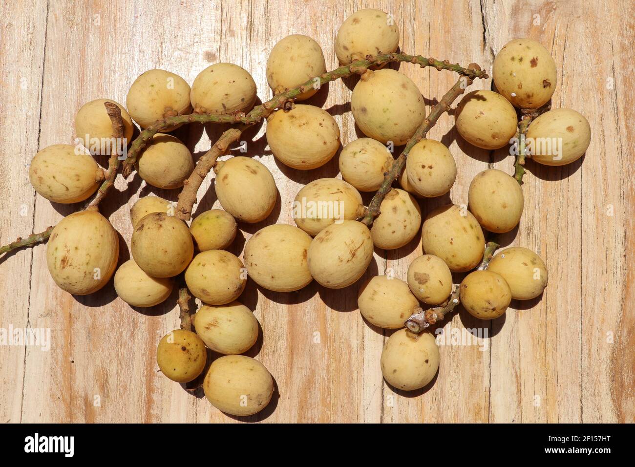 Lansone hi-res stock photography and images - Alamy