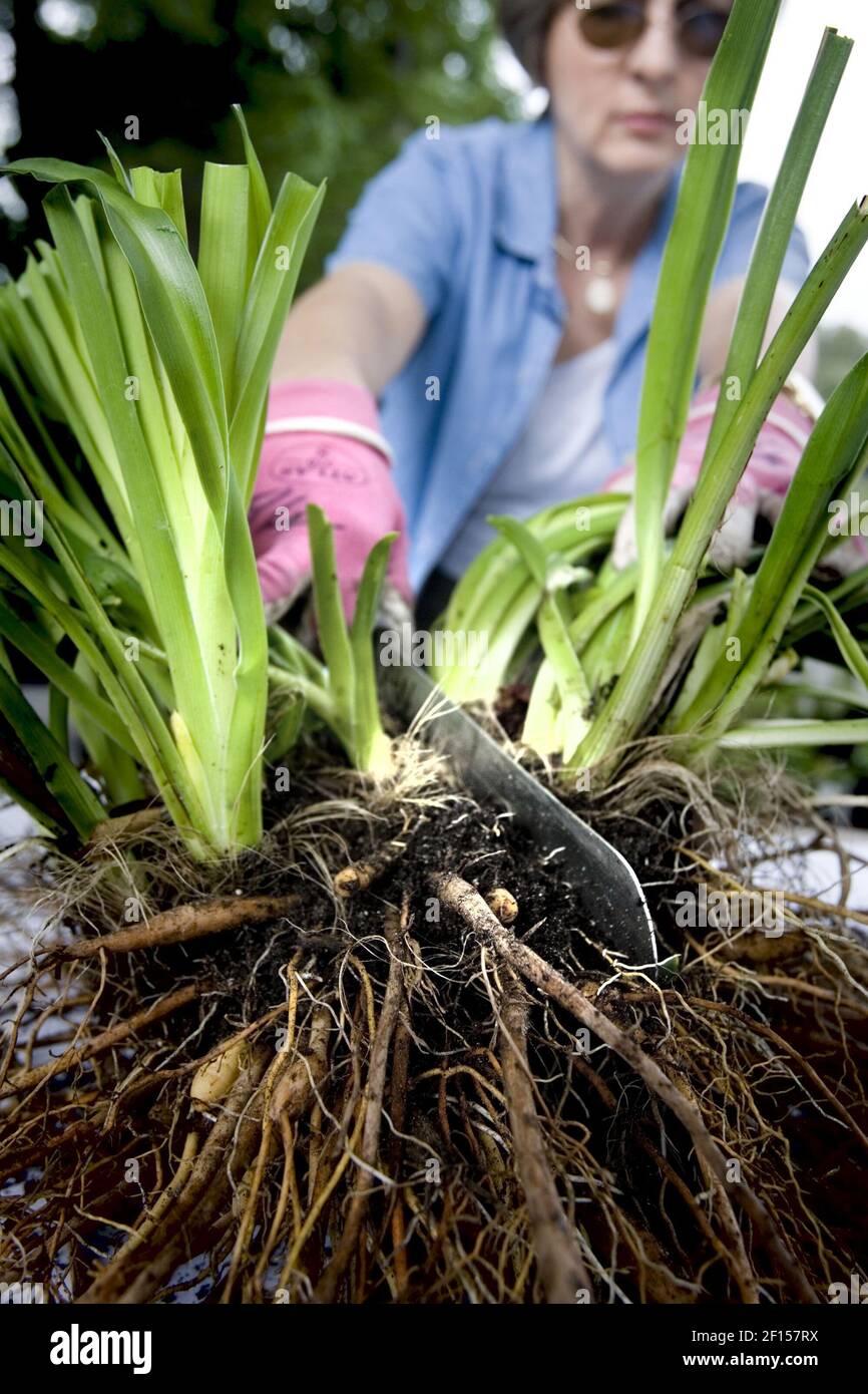 Horticulturist Ann Weber demonstrates using a serrated knife to make a ...