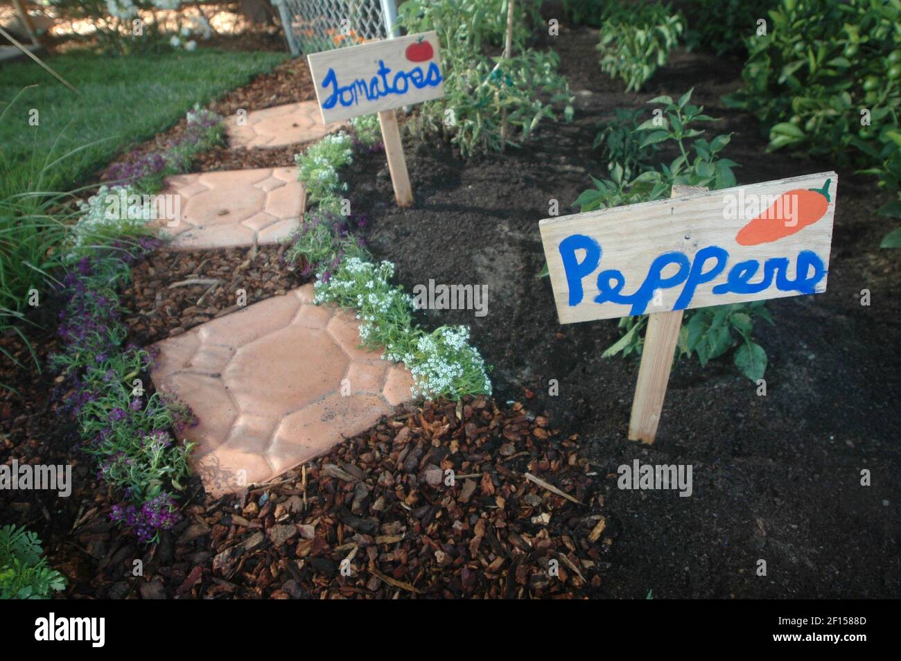 Turlock High School FFA students used mulch and large pavers to create ...