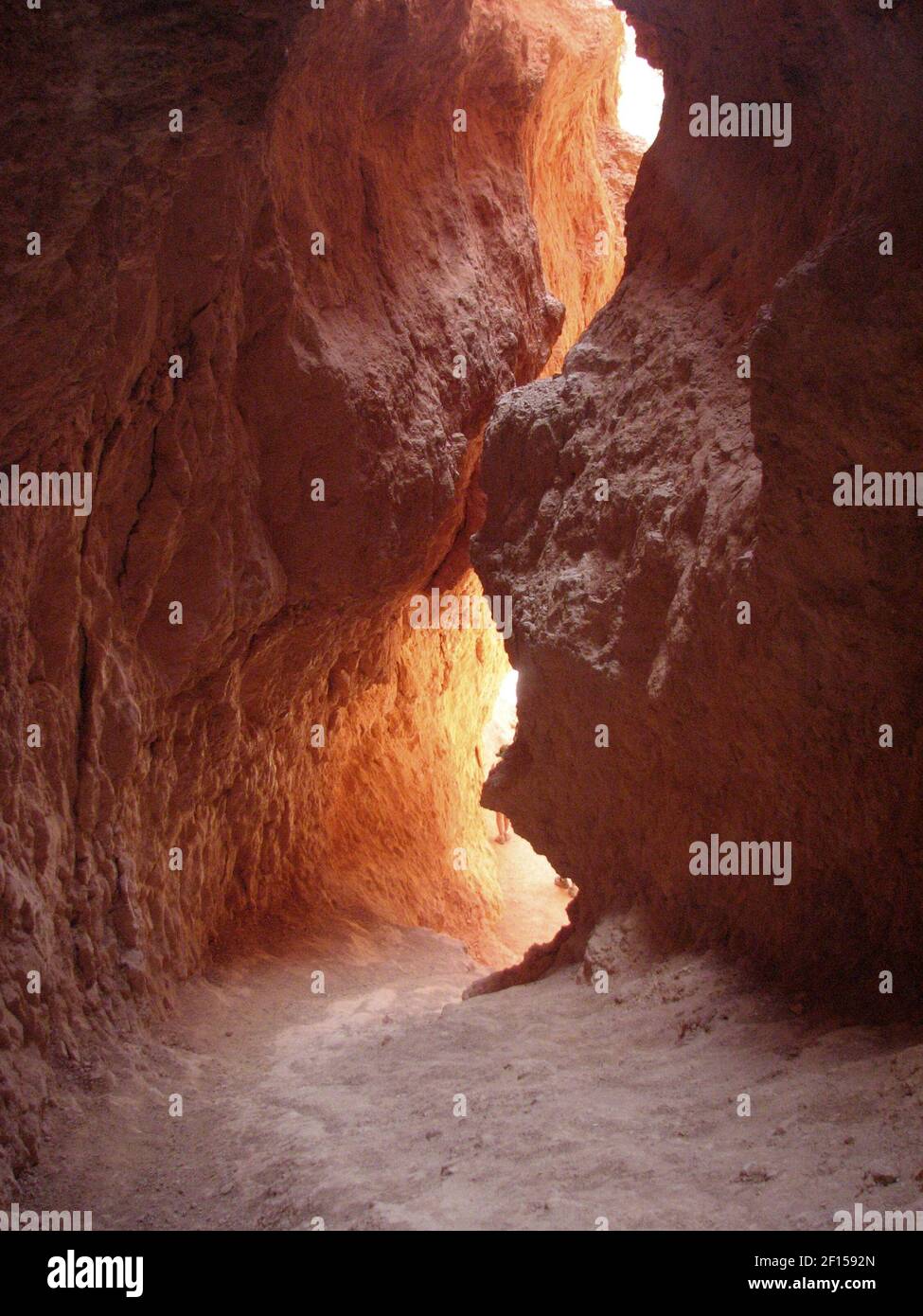 A steep path leads into a slot canyon-a dead end-near the Navajo Loop ...