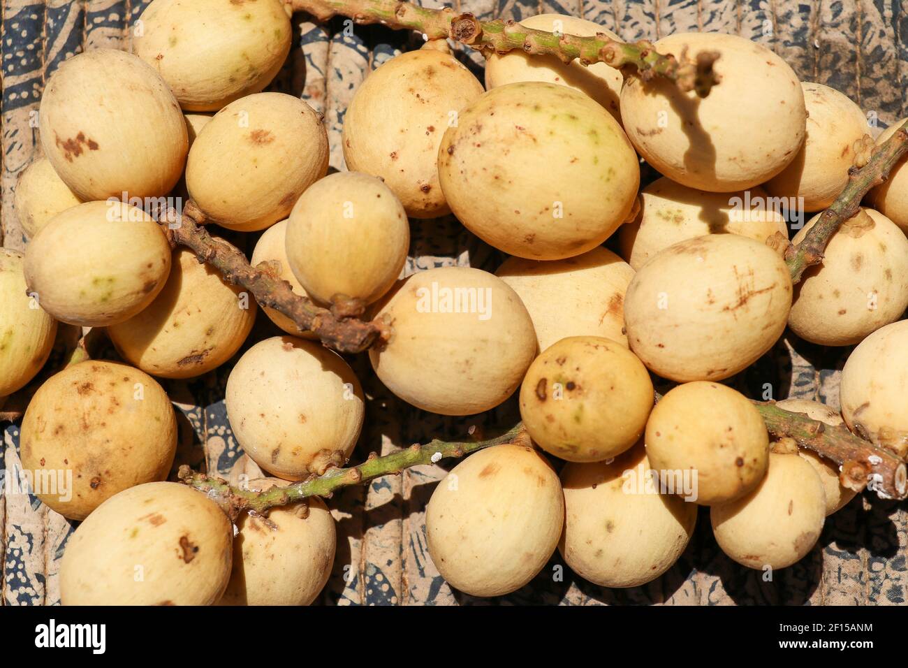 close up photo of ripe duku fruit with a wooden background Stock Photo ...