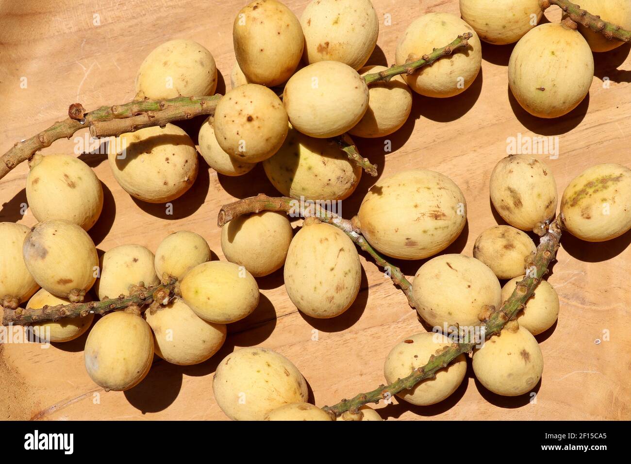 Lansium parasiticum, commonly known in English as langsat or lanzones ...