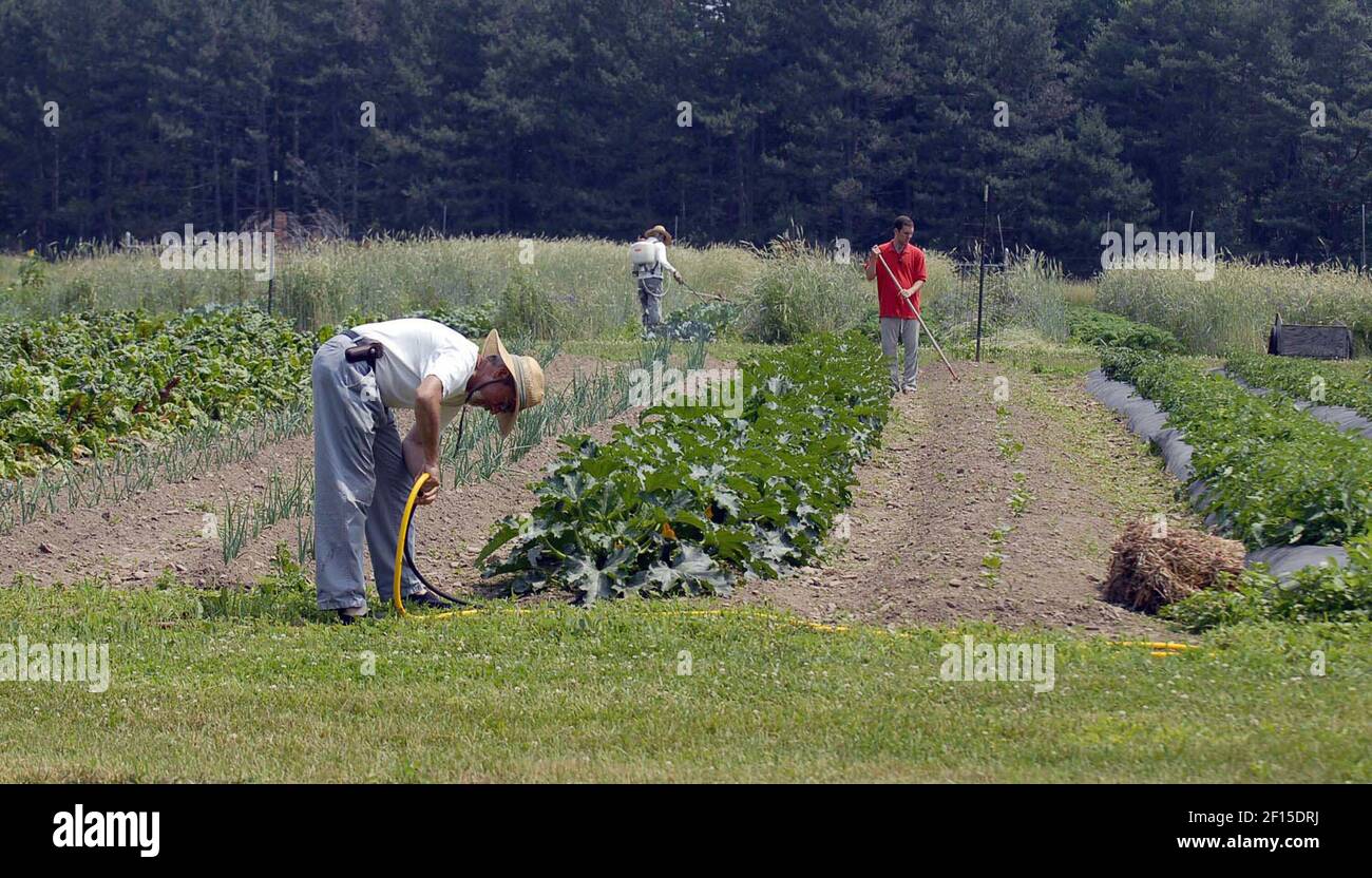 Manager Tom Woodson, left, and residents Luke Demuth, center, and Larry ...