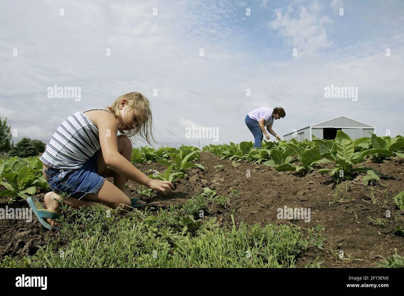 Erin, 6, foreground, and her mother Mary Simes check for weed like ...