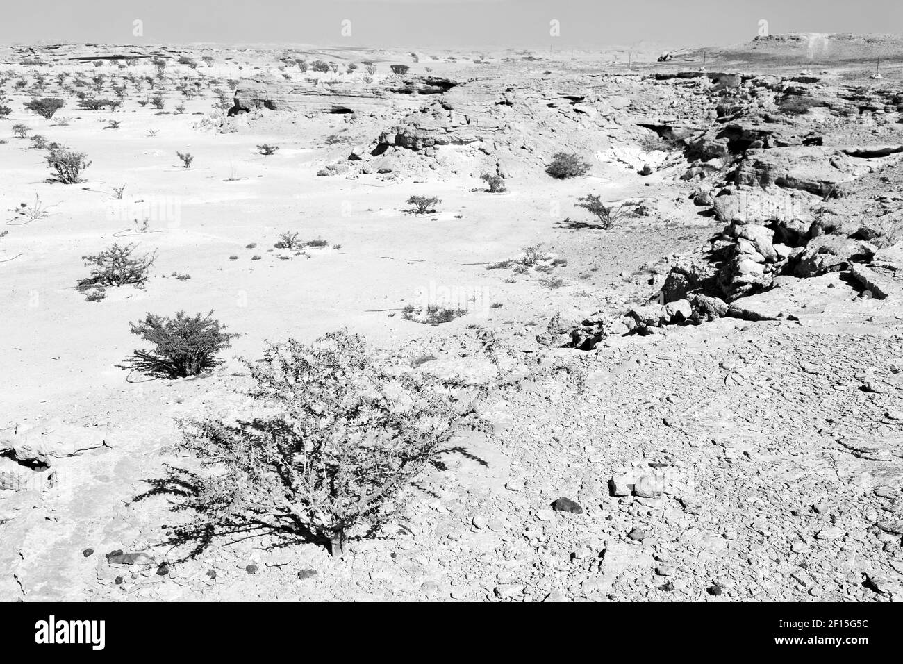 In oman old desert Stock Photo - Alamy