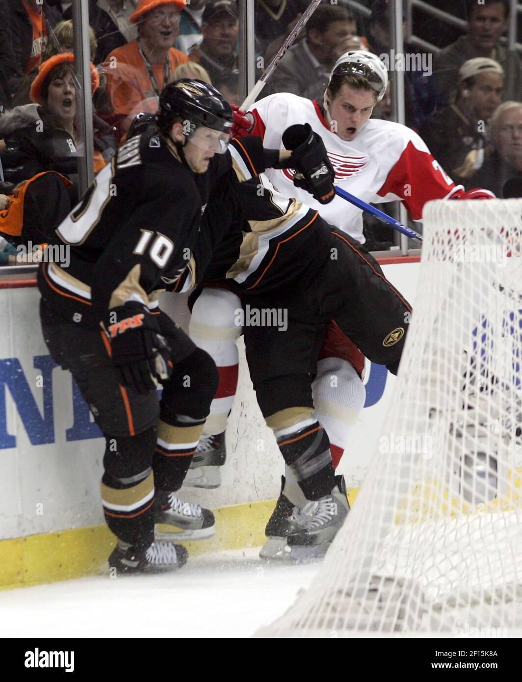 Anaheim Mighty Ducks' Corey Perry and Brad May check Detroit Red Wings ...