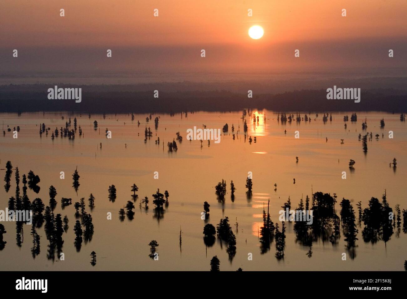 A view of Sparkleberry Swamp and Lake Marion can be seen in Rimini ...