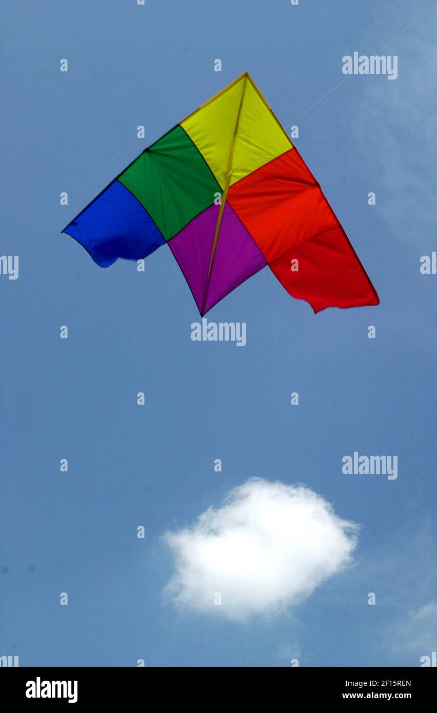 No matter their shape, kites hang in the air with the same forces of ...