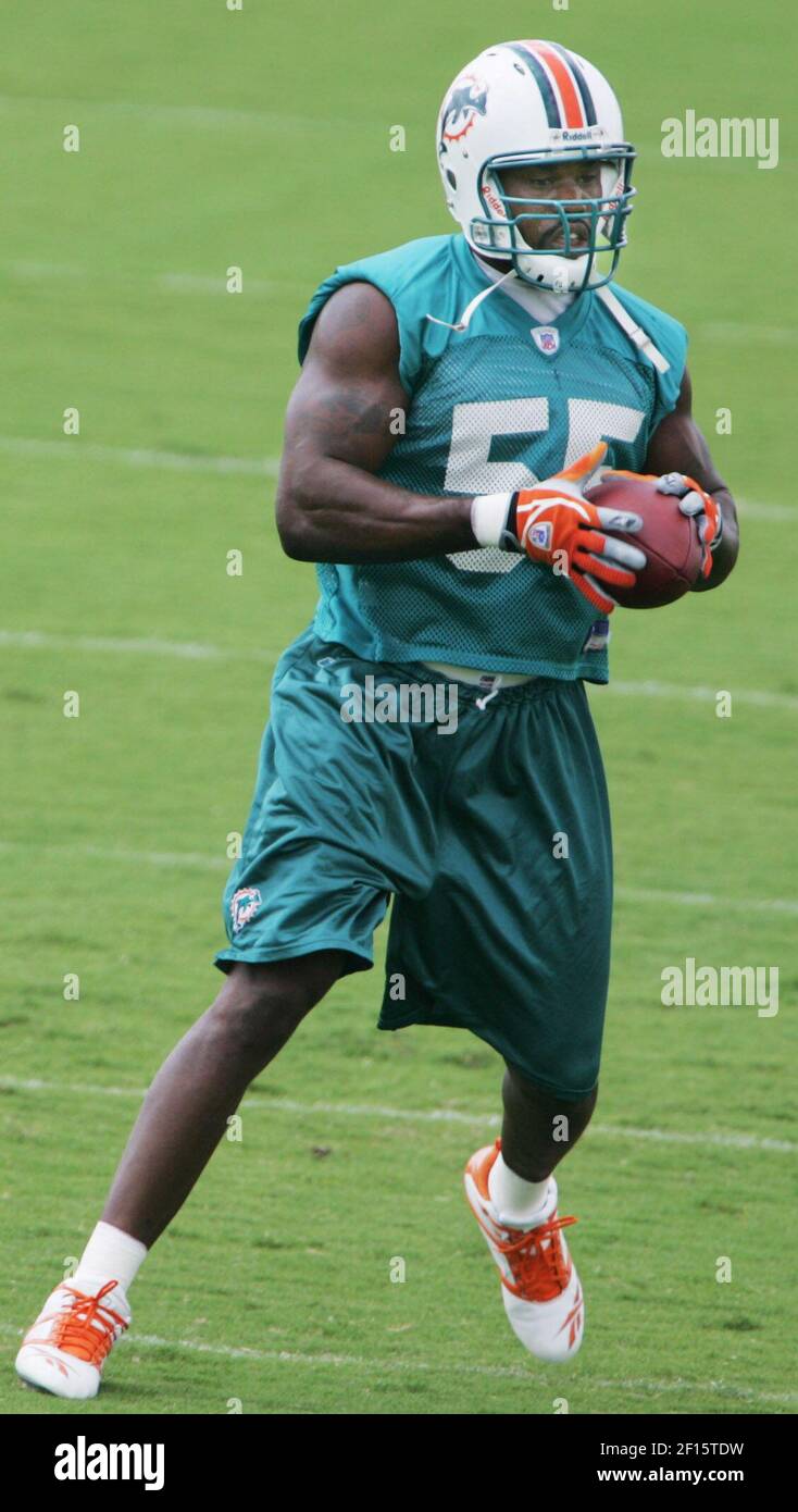 Miami Dolphins linebacker Joey Porter works on drills during mini camp ...