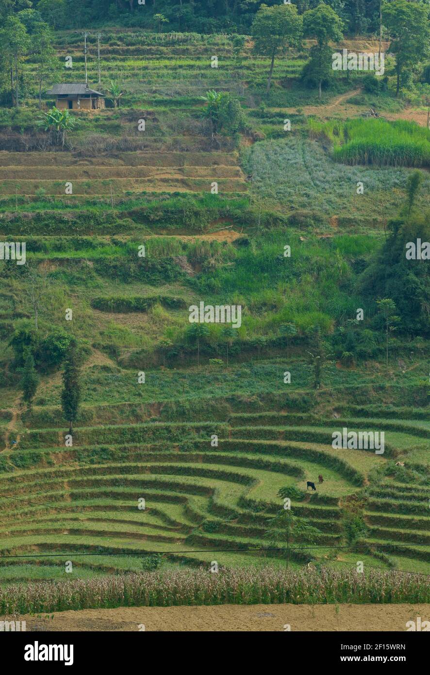 Southeast asia scenery hi-res stock photography and images - Alamy