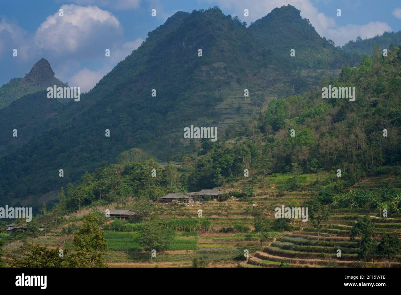 Scenery around Can Cau, near Bac Ha .Lao Cai Province, Vietnam Stock ...