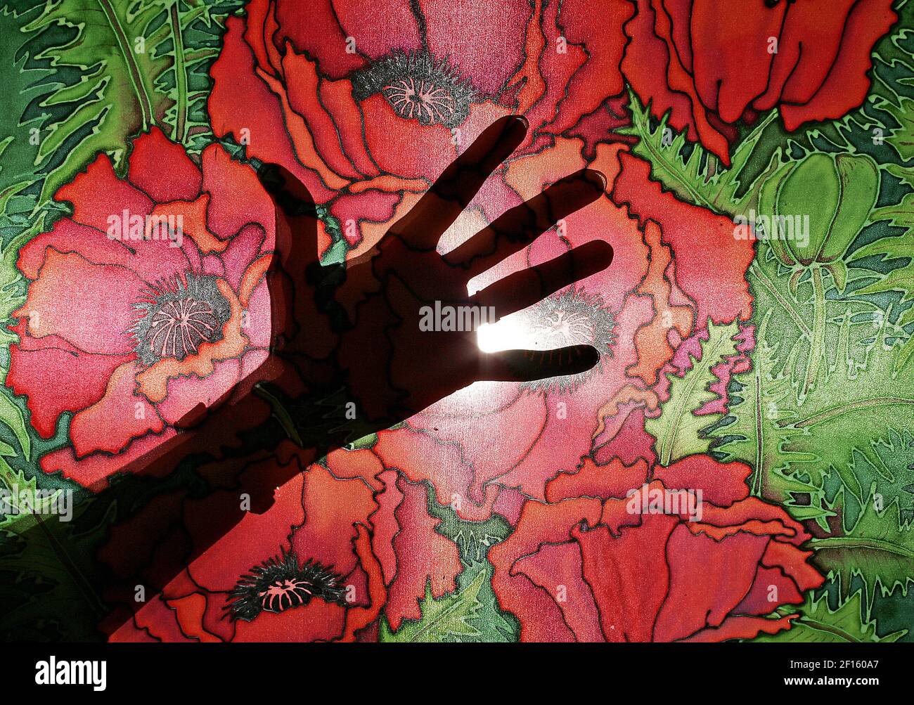 Michele Hester of Kansas City, Missouri, has invented a new cake icing ...