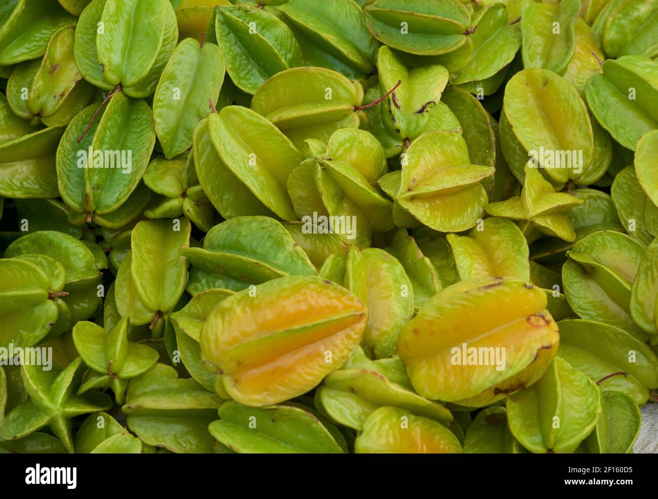 Star fruits or Carambola fruit for sale at Bac Ha market, Lao Cai ...