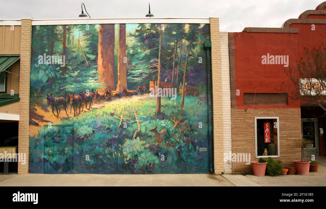 Exeter wall mural hi-res stock photography and images - Alamy