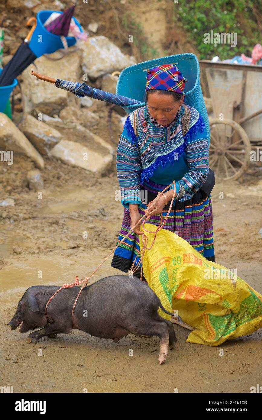 Flower Hmong woman in local style attire at Bac Ha market, trying to ...