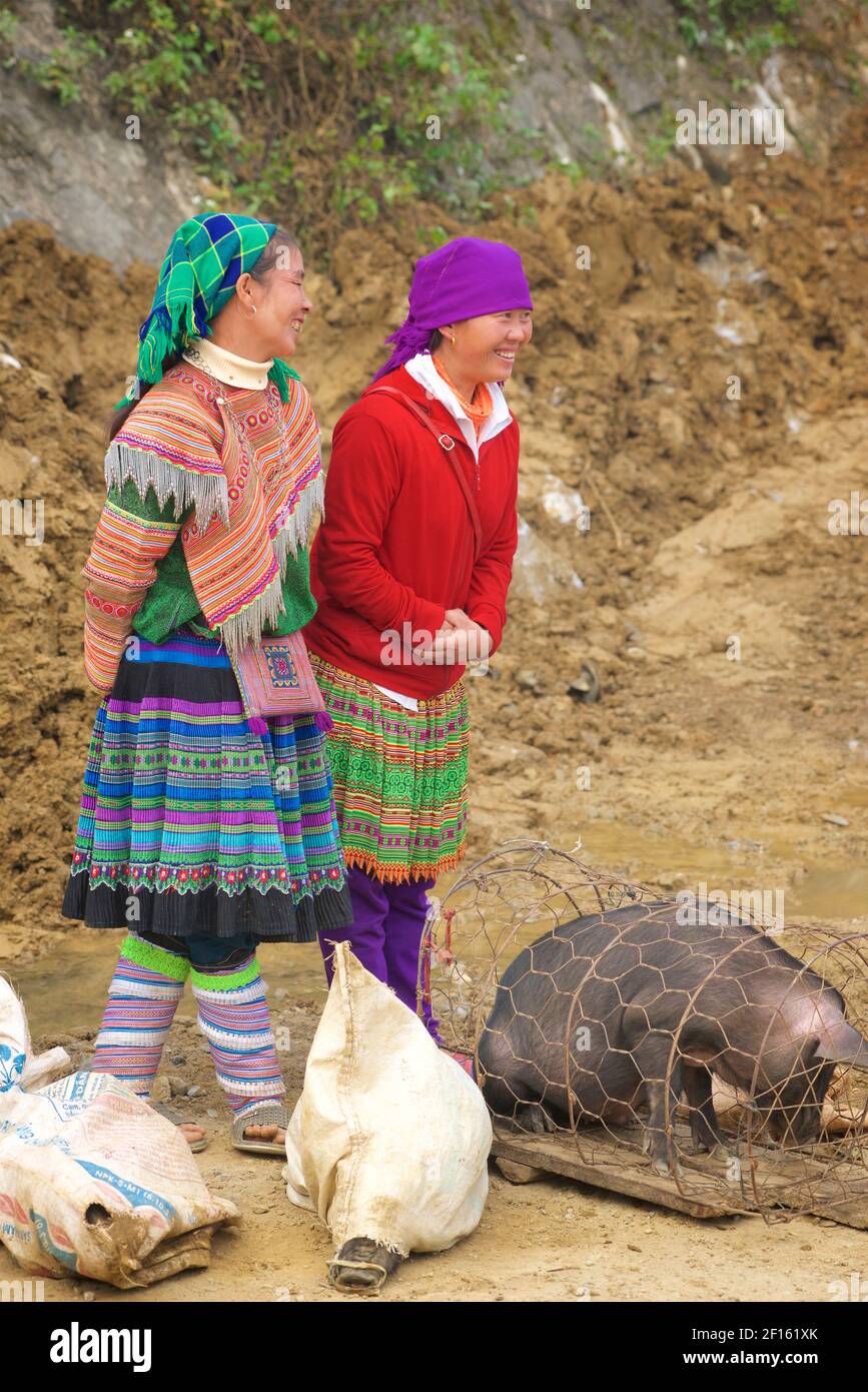 Flower Hmong women in local style attire at Bac Ha market, selling pigs ...