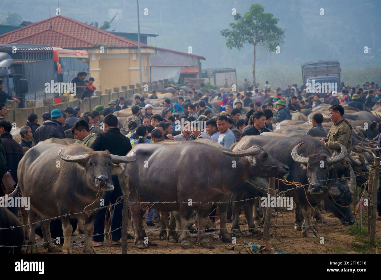 Hlltribe hi-res stock photography and images - Alamy