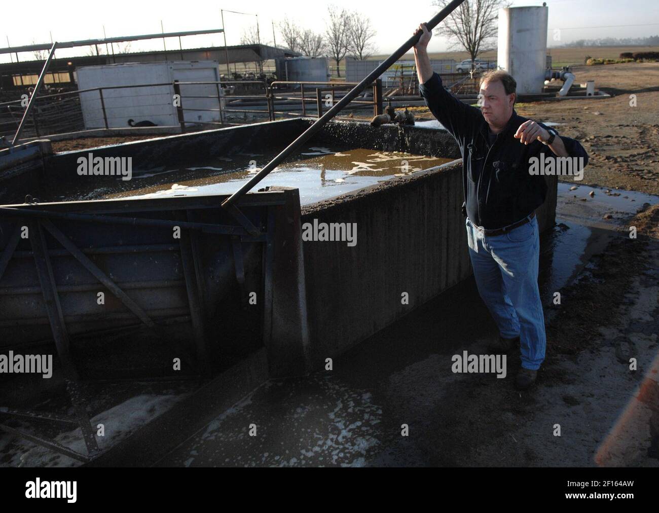 Fred Denier, owner of Cal-Denier Dairy farm in Galt, California ...